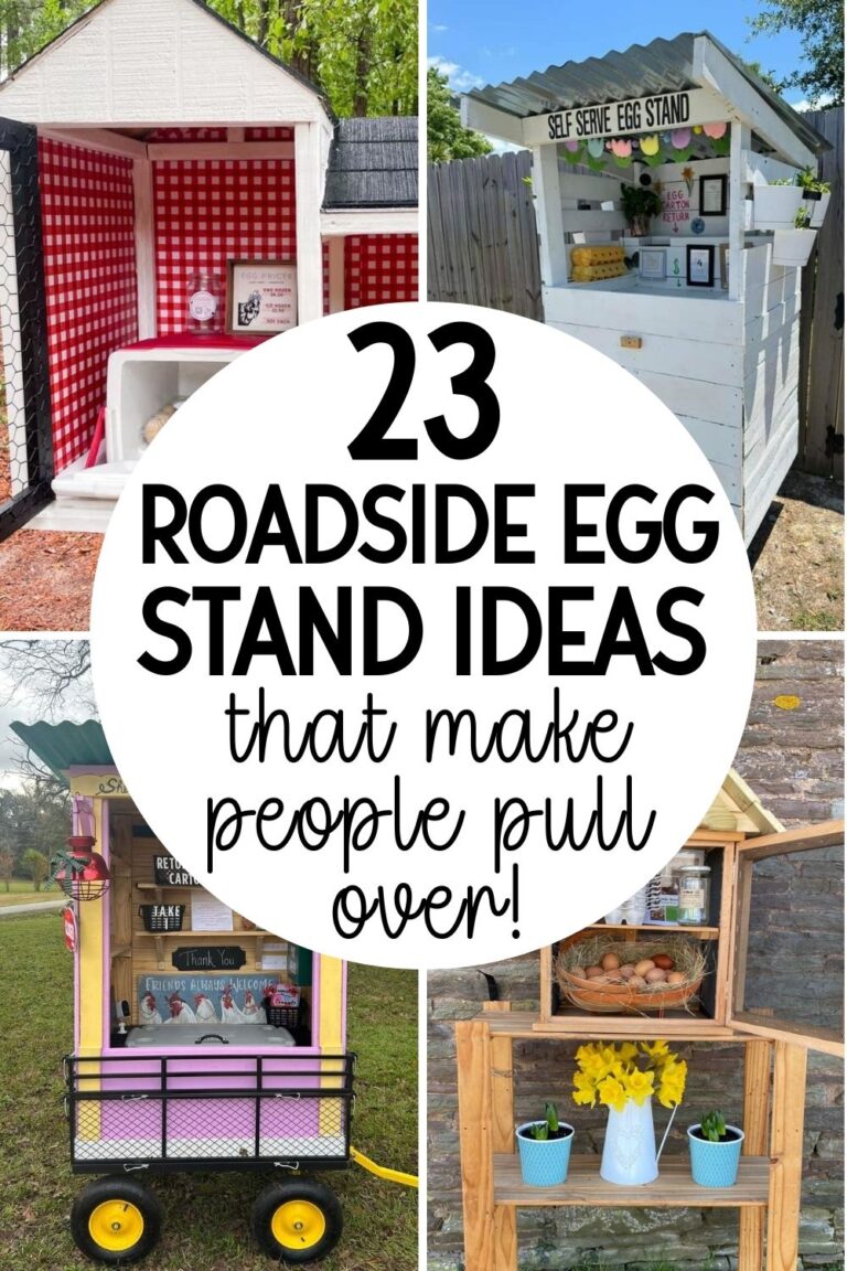 23 Roadside Egg Stand Ideas That Actually Sell Eggs - Makyla Creates